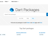 Dart Flutter Http Package Does Not Exist Stack Overflow