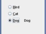 Swing Java Gui Jbutton To Actionlistner Stack Overflow
