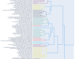 Python Visualise Topics From Bertopic Stack Overflow