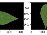 Python Automatically Rotating Images Taken By Different Cameras