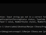 C System Formatexception Input String Was Not In Correct Format