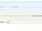 Wso2 Api Manager Asterisk In Empty Resource Path Stack Overflow