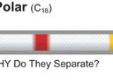 Analytical Chemistry Normal Phase Vs Reverse Phase Hplc Chemistry