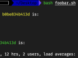 How Can I Get Colored Messages From Bash Script Within Gitlab Ci Unix