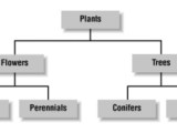 Data Format To Represent Spanning Tree Graph Theory Network Stack