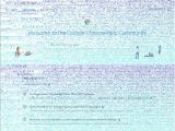 Weird Horizontal And Vertical Lines In Google Chrome Stack Overflow