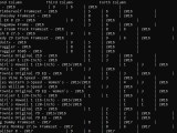C Formatting Displayed Data Properly In Console Window From