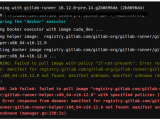 Docker Error Job Failed Failed To Pull Image Gitlab Runner Helper