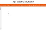 Css What Is The Correct Way To Place Each Option Of A Ngx Bootstrap