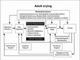 Social Psychology Why Do Humans Cry Psychology Neuroscience