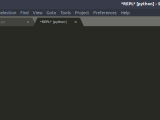 Python 3 X Python3 Sublime Text3 Not Showing The Input Value As