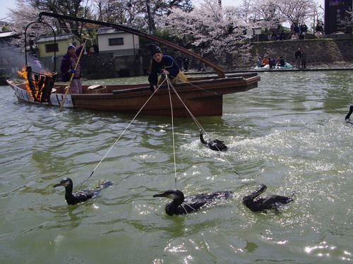 Flutter Positioning Custom Appbar Without Safearea Stack Overflow - Premium Vintage Background Gallery - Retina