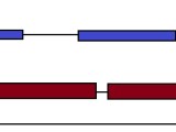 Matplotlib Plotting Parallel Events In Python Stack Overflow
