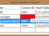 C Validation Datagrid Wpf Stack Overflow