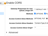 Amazon Web Services How To Avoid The Cors Error From An Api Created