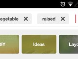 Horizontalscrollview Android Chips Which Are Horizontally Scrollable