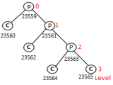 Loops Nested Fork Tree In C Stack Overflow