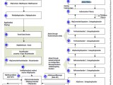 Asp Net Message Handlers And The Http Module Stack Overflow