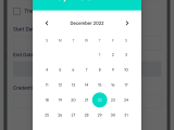 How To Change The Color Of The Datepicker In Flutter Webview Stack