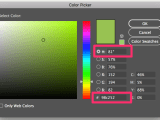 Color How To Have Hex Automatically Selected In Illustrator Graphic