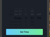 Javascript React Native Datetimepicker Change Text Color Stack Overflow