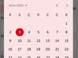Flutter How To Change The Background Color Of Date Picker Stack
