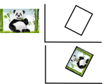 Draw Image In Rectangle Python Stack Overflow