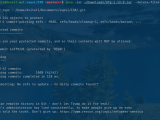 Git How To Remove Sensitive Data From A File In Github History