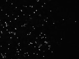 Count Cells On Image Using Python And Opencv Stack Overflow