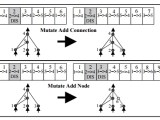 Machine Learning Neuroevolution Neat Algorithm Innovation Numbers