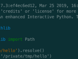 Python How To Get Pathlib S Unix Path Handling Goodies Without The