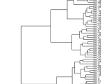 Horizontal Dendrogram In R With Labels Stack Overflow