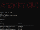 Npm After Installing Angular Version 12 Another Version 13 Also