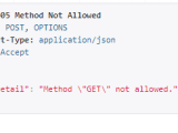 Python Detail Method Get Not Allowed Stack Overflow