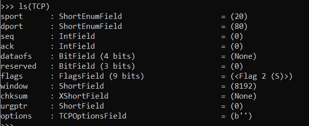 Python Add Option In Tcp With Scapy Stack Overflow - Premium City Texture Gallery - Desktop