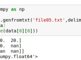 Python Numpy Gives Nan While Reading A Negative Number From A File