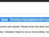 Asp Net Mvc Validation Failed For One Or More Entities See
