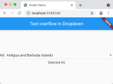 Rendering Flutter Text Overflow In Dropdownmenuitem Stack Overflow