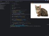 Detecting Cats In Images With Opencv Pyimagesearch
