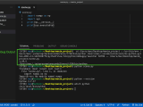 Macos Mac Os Vscode Built In Terminal Can T Import Installed Python