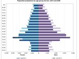 Population Pyramid Definition