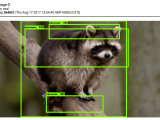 Python Tensorflow Object Detection Api With Weird Detection Result
