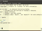 Copy Paste Into Python Interactive Interpreter And Indentation Stack