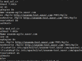 Apache Reverse Proxy Not Working Over Ssl Stack Overflow