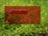 Crop Background Css Stack Overflow