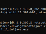 Java Am I Using Version Jdk 17 Or Version Openjdk 1 8 Stack Overflow