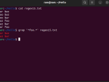 Command Line Regex Properly Not Functioning In Ubuntu Of Wsl