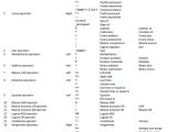 Operator Precedence Table For The C Programming Language Stack Overflow