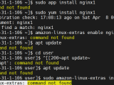 Node Js Sudo Amazon Linux Extras Command Not Found Stack Overflow