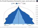 Human Biology World Population Pyramid Since 1800 Biology Stack